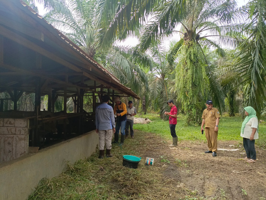 Website Resmi Desa Padang Jaya