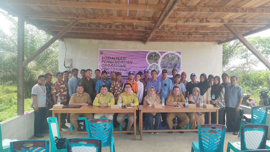 Website Resmi Desa Padang Jaya